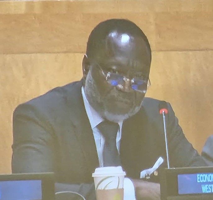 ECOWAS President Champions African Stability and Financing at Global ...